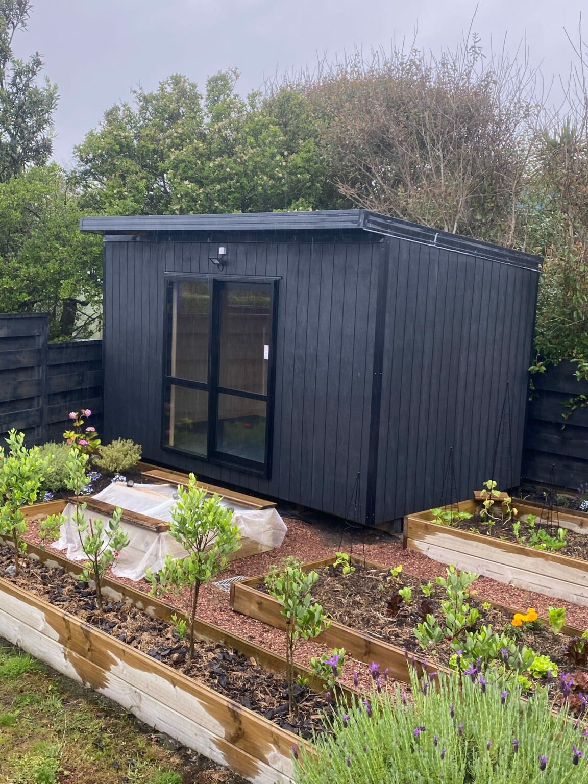 Services - ACE Buildings